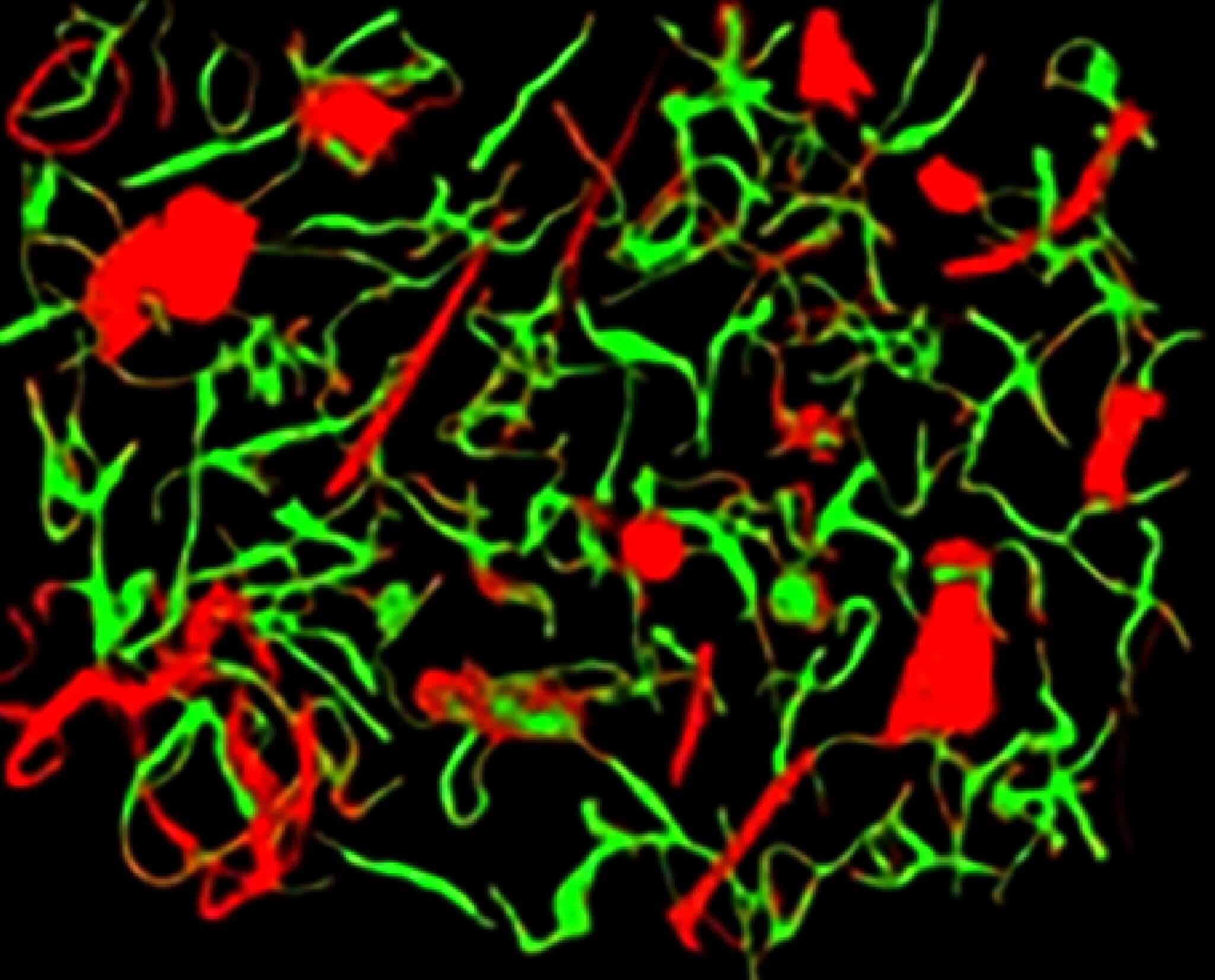 Monarch Pro - unispectral